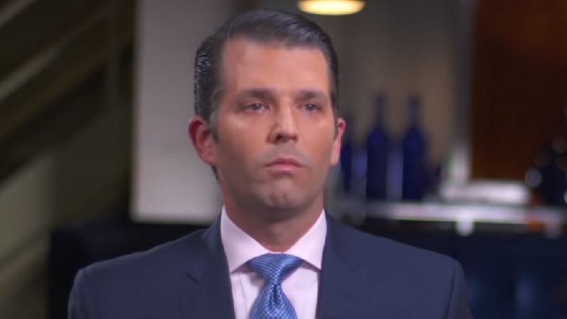 Twitter Users Respond To Don Jr.'s Book Release With Their Own Mock ...